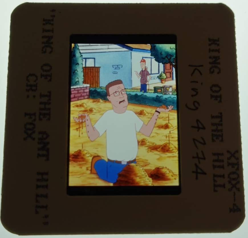 King of the Hill 1997 King of the Ant Hill Rare FOX Original Photo ...