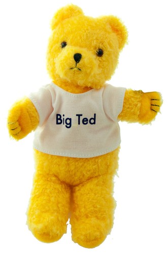 Big Ted Plush Toy | ABC Kids Playschool | Big Ted Soft Toy | Play ...
