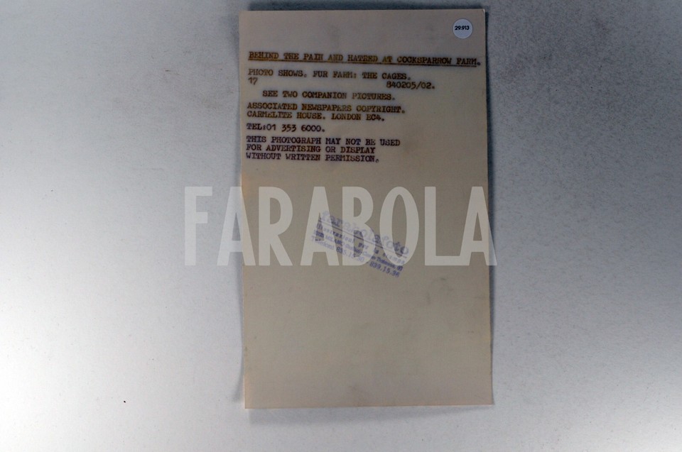 Vintage Press Photo Animals United Kingdom Breeding Arctic Foxes 1984 ...