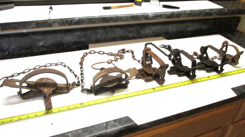 6 Old Trap Jump & Coil Spring 2 Victor + User's ++ Mancave Cabin | eBay