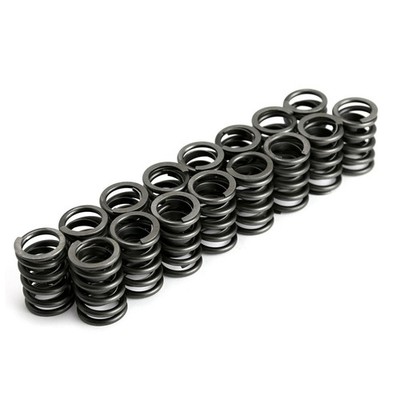 SBC Chevy SBF Ford Mopar .600 Lift 1.450" Dual Spring Valve Springs ...