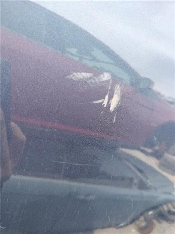 tür hinten rechts für FORD FOCUS BERLINA (CGE)(2018->) 172075 | eBay.de