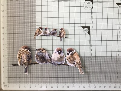 Highlight Crafts - Two Red Robins - Allotment Gossip Collection On The ...