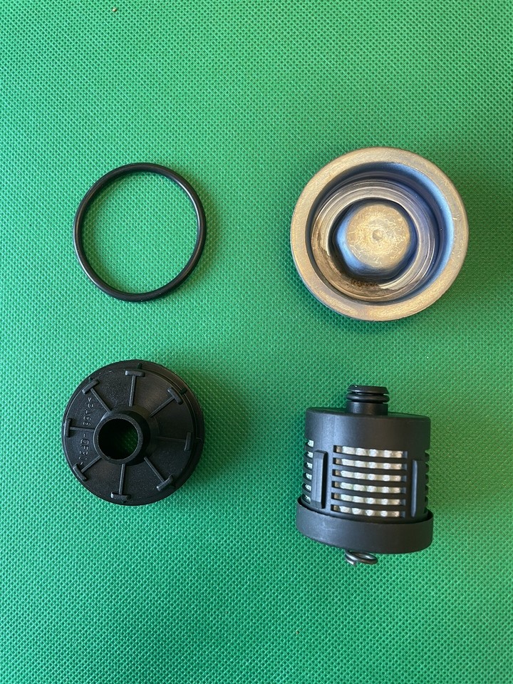 BORG WARNER BW120456 Hydraulic Filter, all-wheel-drive coupling OE ...