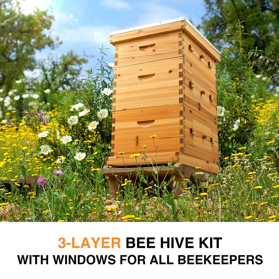 Bee hive Frame BeeHive Kit W/ Beeswax Beekeeping 30 Frames 20 Deep+10 ...