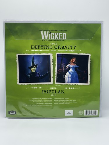 NEW Idina Menzel Defying Gravity Wicked Die Cut Picture Disc 7" Vinyl ...