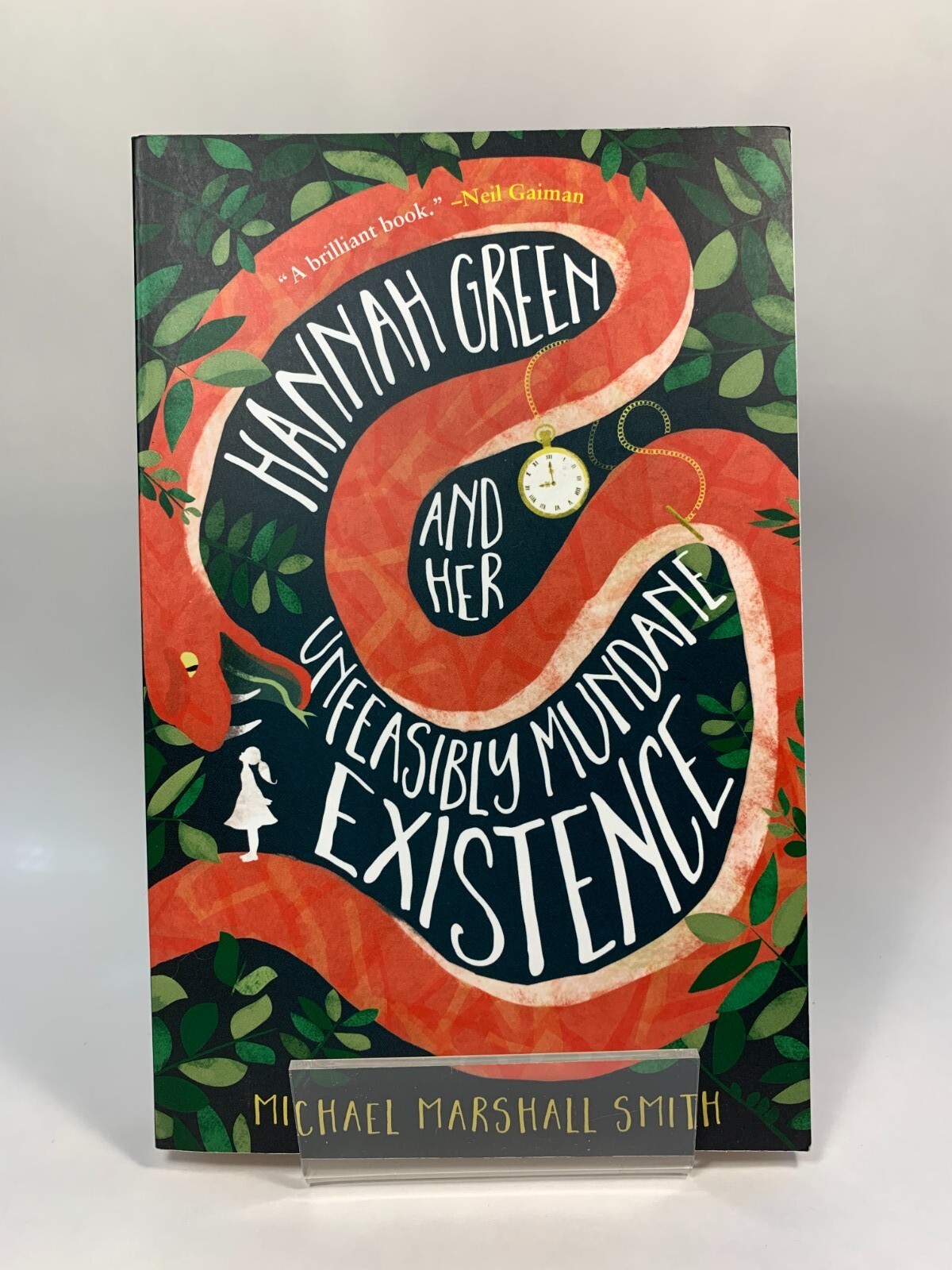 Hannah Green and Her Unfeasibly Mundane Existence by Michael Marshall ...