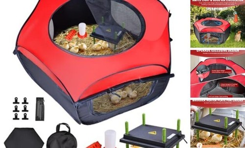 Chicken Brooder Box for Chick Starter Kit - 10 * Chicken Brooder Tent Bundles | eBay