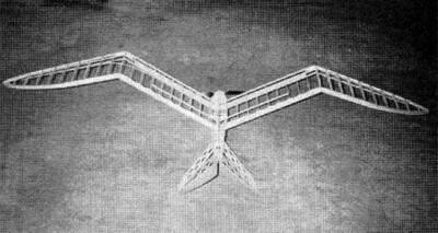 Electric Seagull Glider 78" Wingspan RC Model Airplane Printed Plans ...