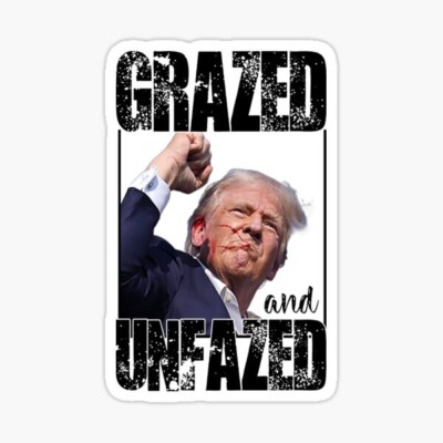 DONALD TRUMP 2024 7/13 Attempted Assassination grazed and unfazed ...
