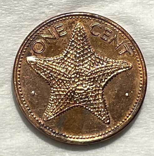 Bahamas Cent 2001, Elizabeth II, Starfish, Coin. Will receive exact ...