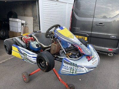 Zip Kart, Petrol Zip Go Kart | eBay UK