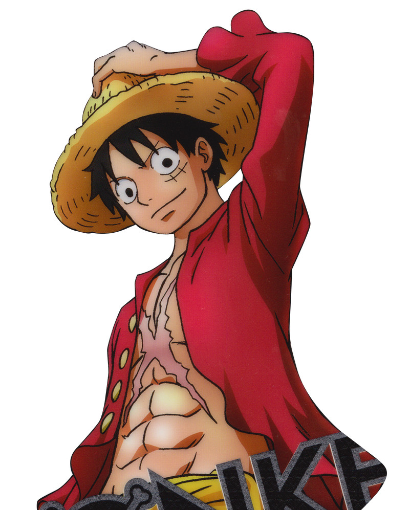 Equipo Luffy De Una Pieza 6