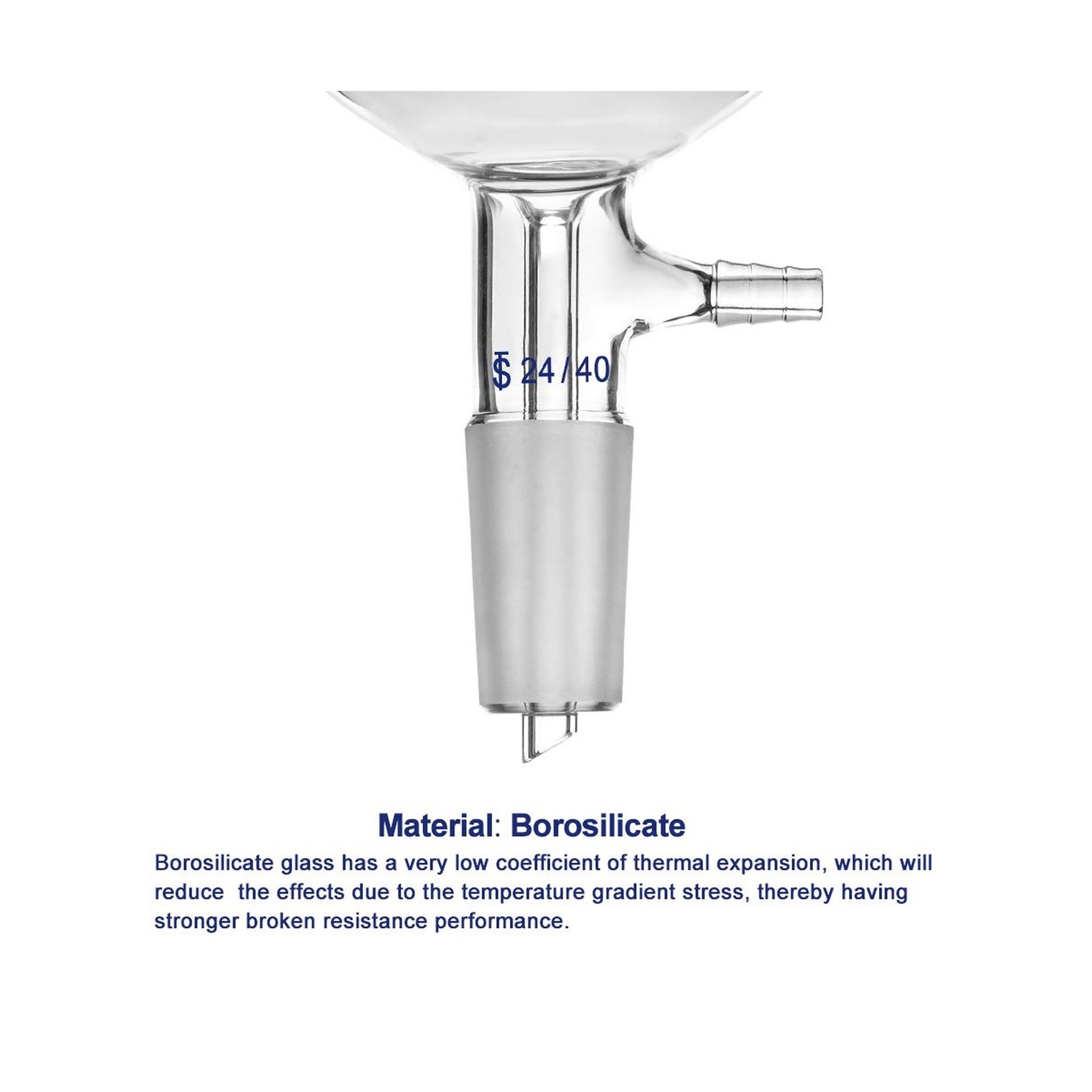 Labasics Borosilicate Glass Buchner Filtering Funnel with Coarse Frit ...