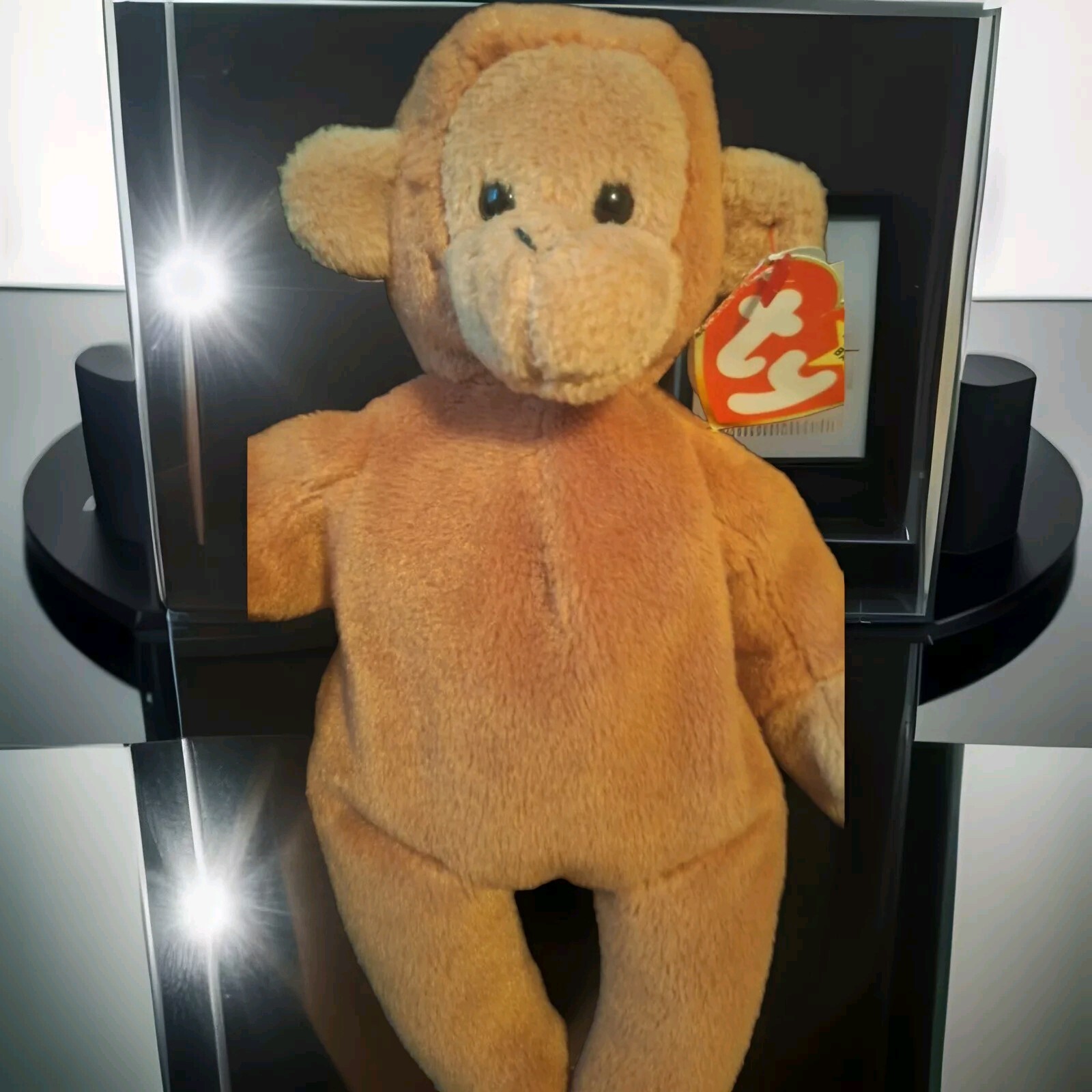 Ty Beanie Baby Bongo The Monkey With Manufacturing Facial Errors! 1 OF ...