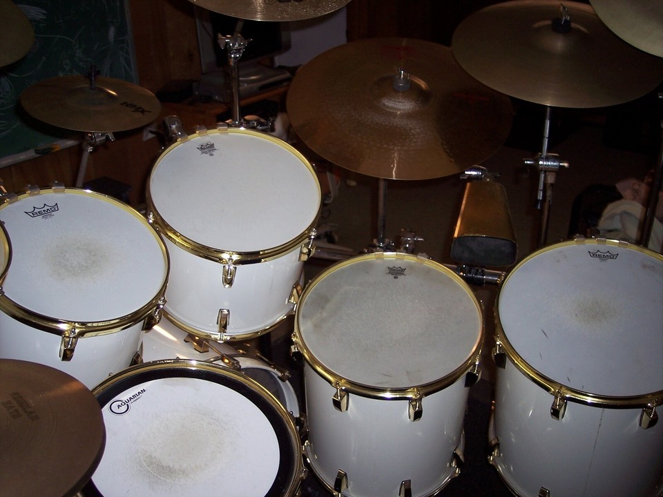 TEMPUS DRUMS aka MILESTONE. CRYSTALINA WHITE W/GOLD LUGS AND RIMS. | eBay