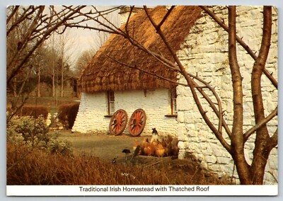 1983 Traditional Irish Ireland Homestead With Thatched Roof Postcard | eBay