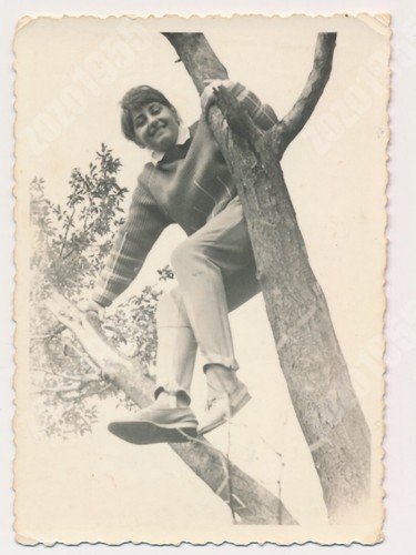 1966 Woman in Tree Lady Female Climb Abstract Portrait Vintage Photo ...