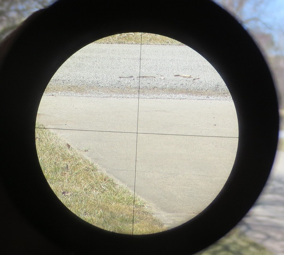 Rare Kleinguenther 6X Fixed Power Rifle Scope Fine Crosshair 6x32 Japan ...