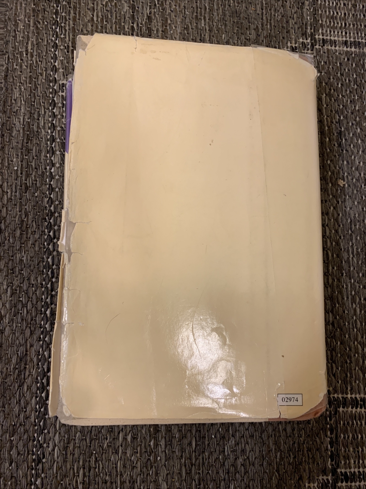 The Hawk And The Jewel & Wings Of The Morning Books 1 & 2 Lori Wick ...