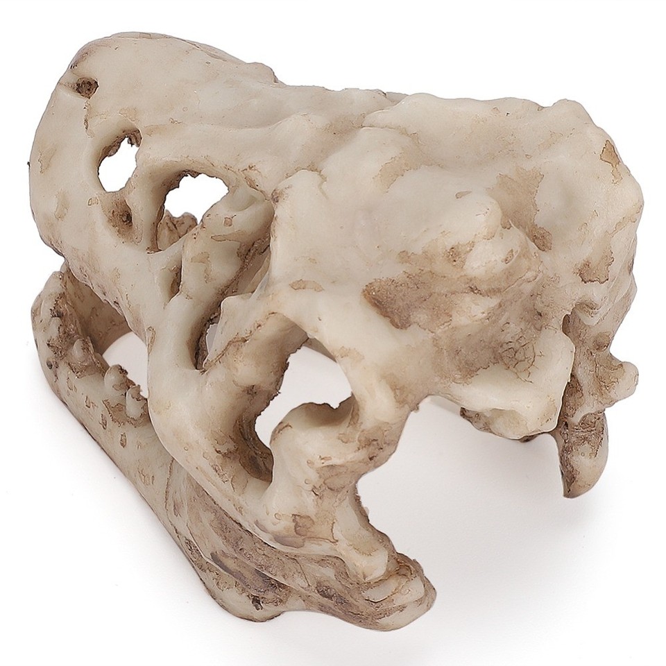 Skull Shape Aquarium Decor Landscape Design Dinosaur Skull Ornament ...