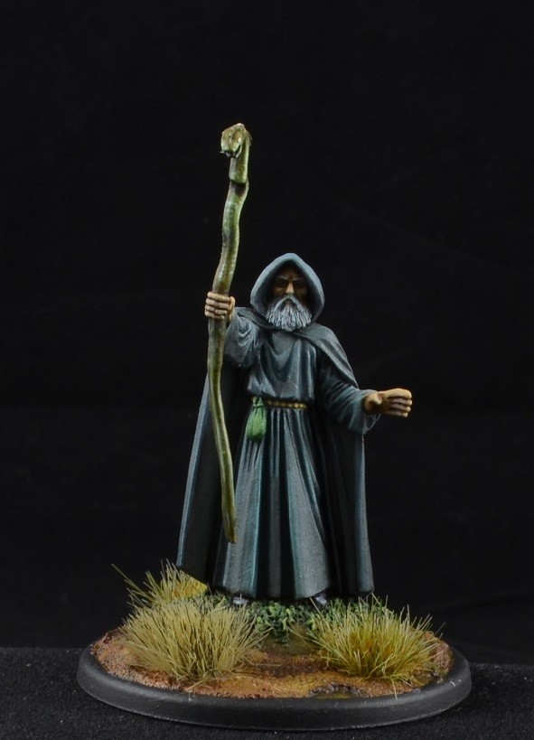 Painted Castle of Deception, Male Wizard from Dark Sword Miniatures ...