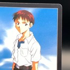 Shinji Ikri Neon Genesis Evangelion Cards F/S 1996 Bandai Sega Japanese ...