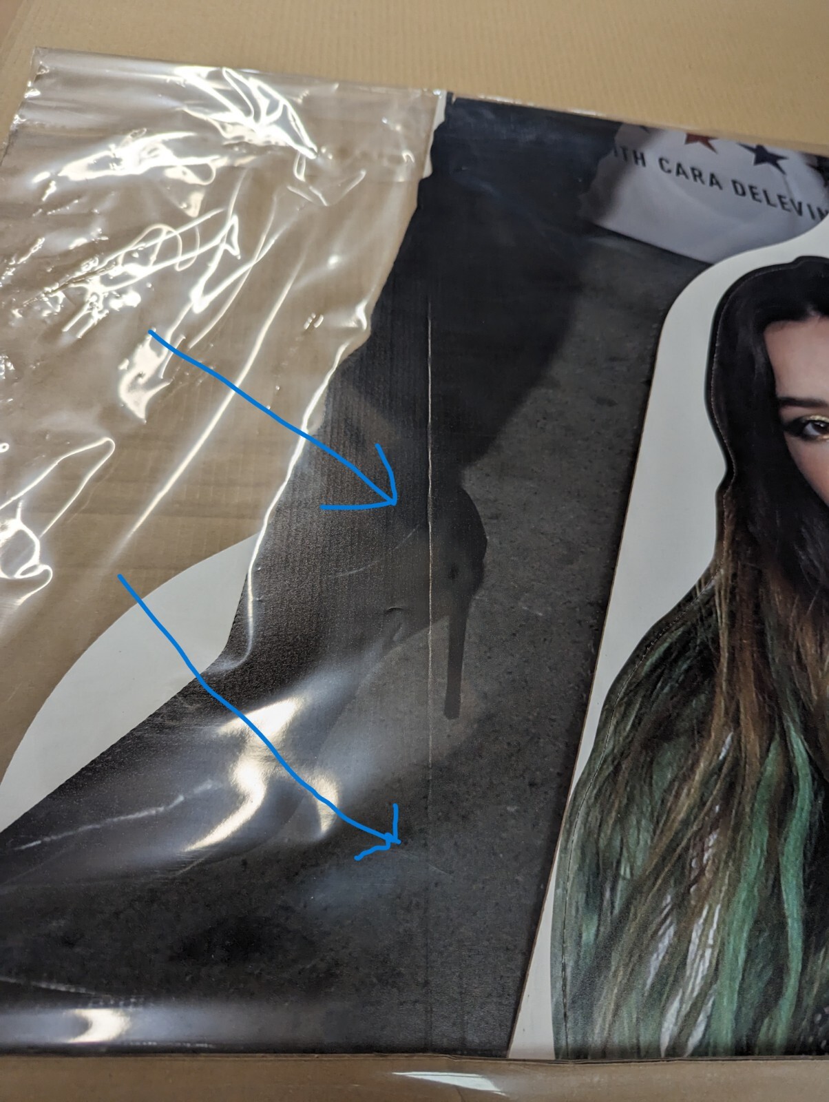 Bella Thorne Celebrity Lifesize Cardboard Cutout / Standee *Damaged ...