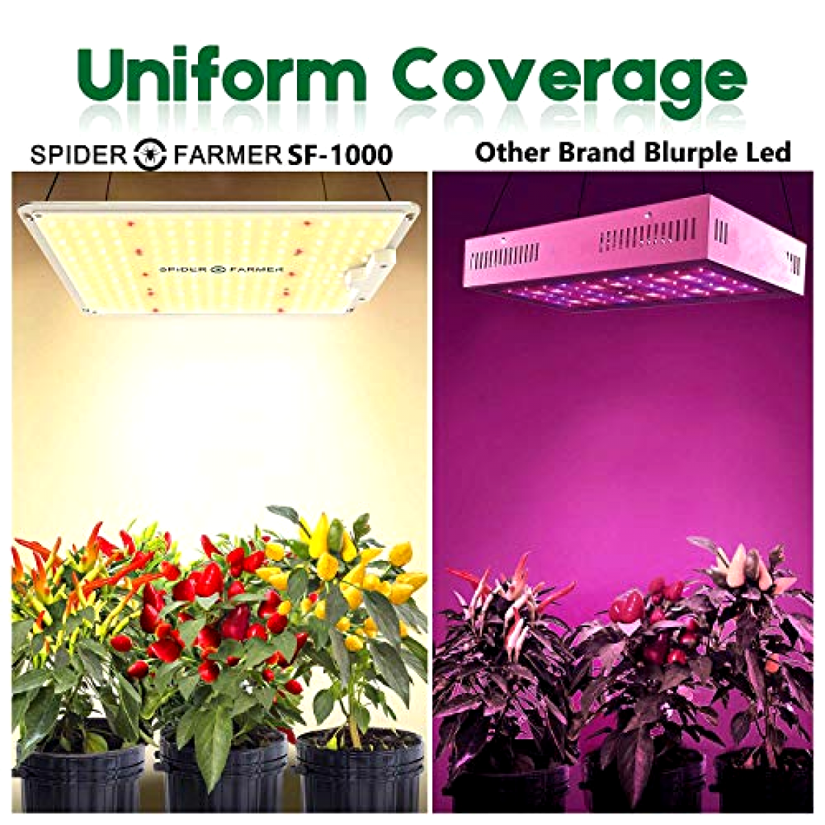 Spider Farmer SF-1000 LED Grow Light for sale online | eBay