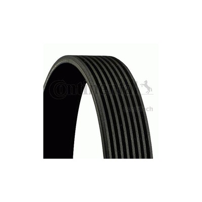 CONTITECH 8 PK 1838 V-Ribbed Belts 8PK1840 | eBay