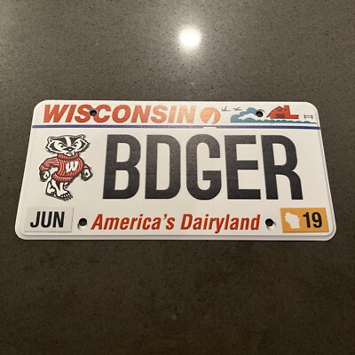 Wisconsin UW Badgers Novelty Plastic License Plate BDGER Decoration ...