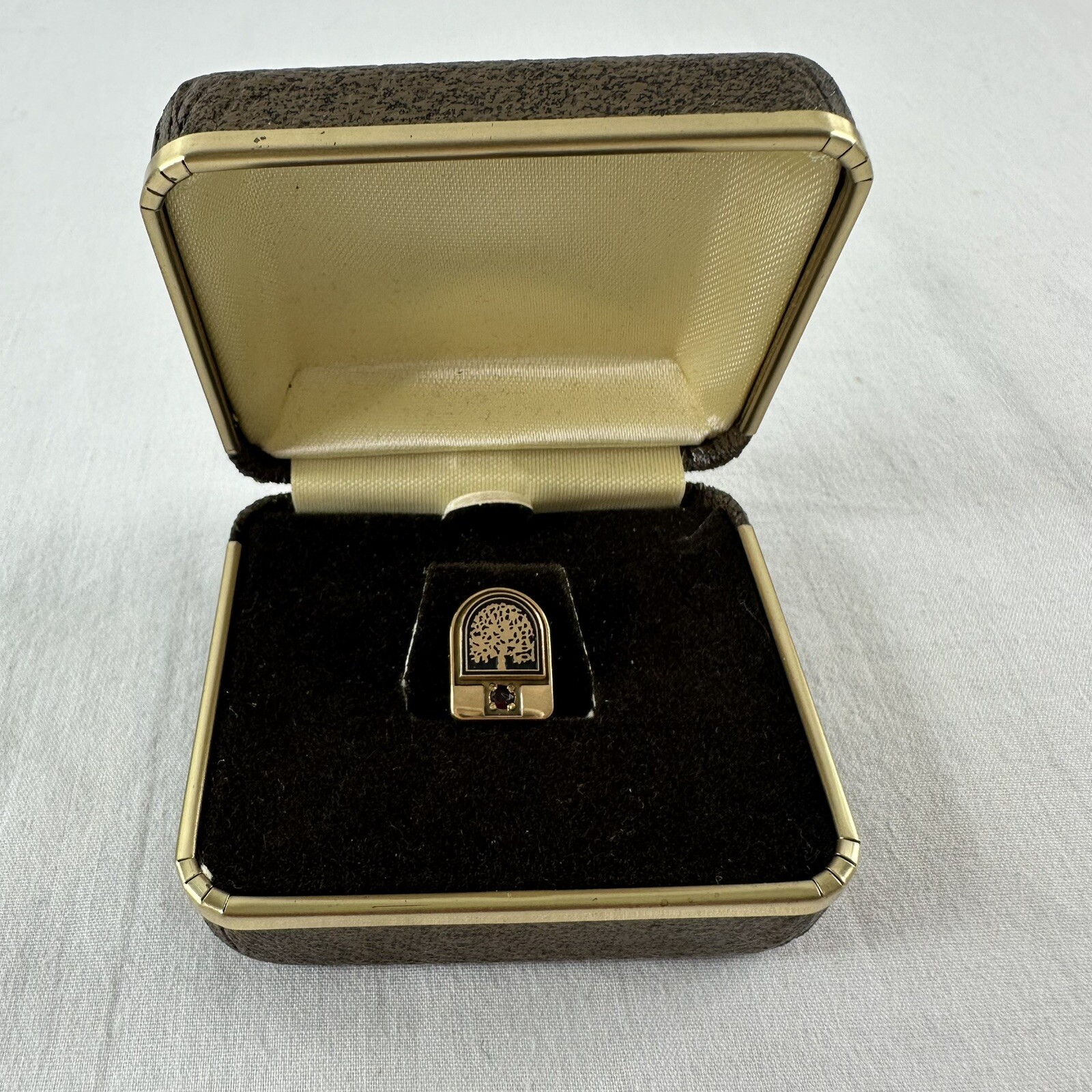 10k Yellow Gold Ruby CTO Pin Tree 10 Years Of Service… - Gem