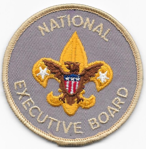 National Executive Board 1973-1980s Clear Waffle PB Position Patch BSA ...