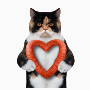 Day Flipper | eBay Stores