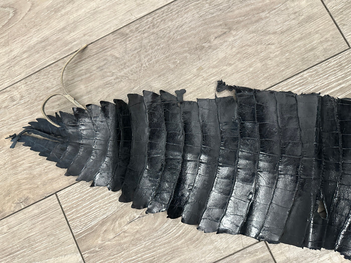 Black Genuine Alligator Tail Hide Leather Skin Piece Scrap Gator Croc ...