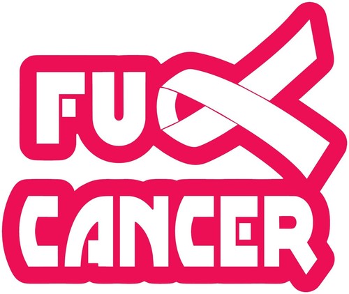 LARGE Fu*k Cancer Decal Stickers Car Window Ute Moto Wall Graphics JDM ...