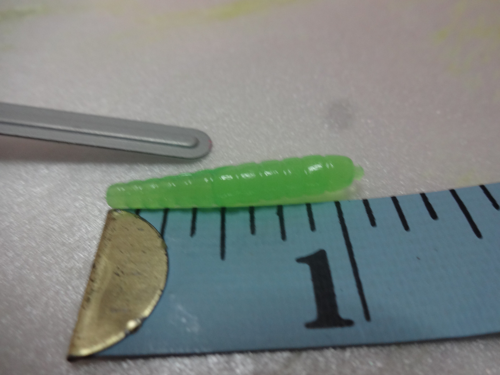 Soft plastic 1" florescent green split-tail grub fish bait 30 piece lot ...