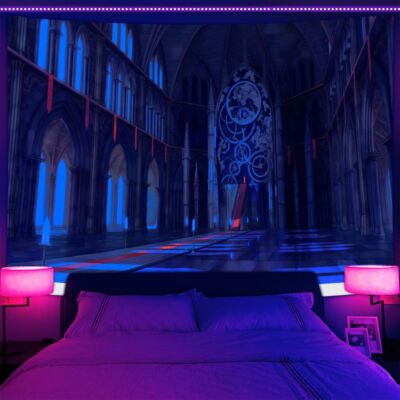 Palace Anime Large Wall Art Poster Blacklight Tapestry UV Reactive Wall ...