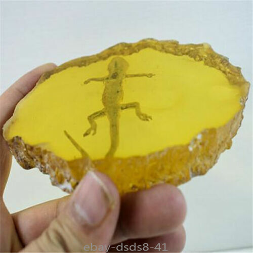 Beautiful Amber Gecko Fossil Insects Manual Polishing Decorative Pieces ...