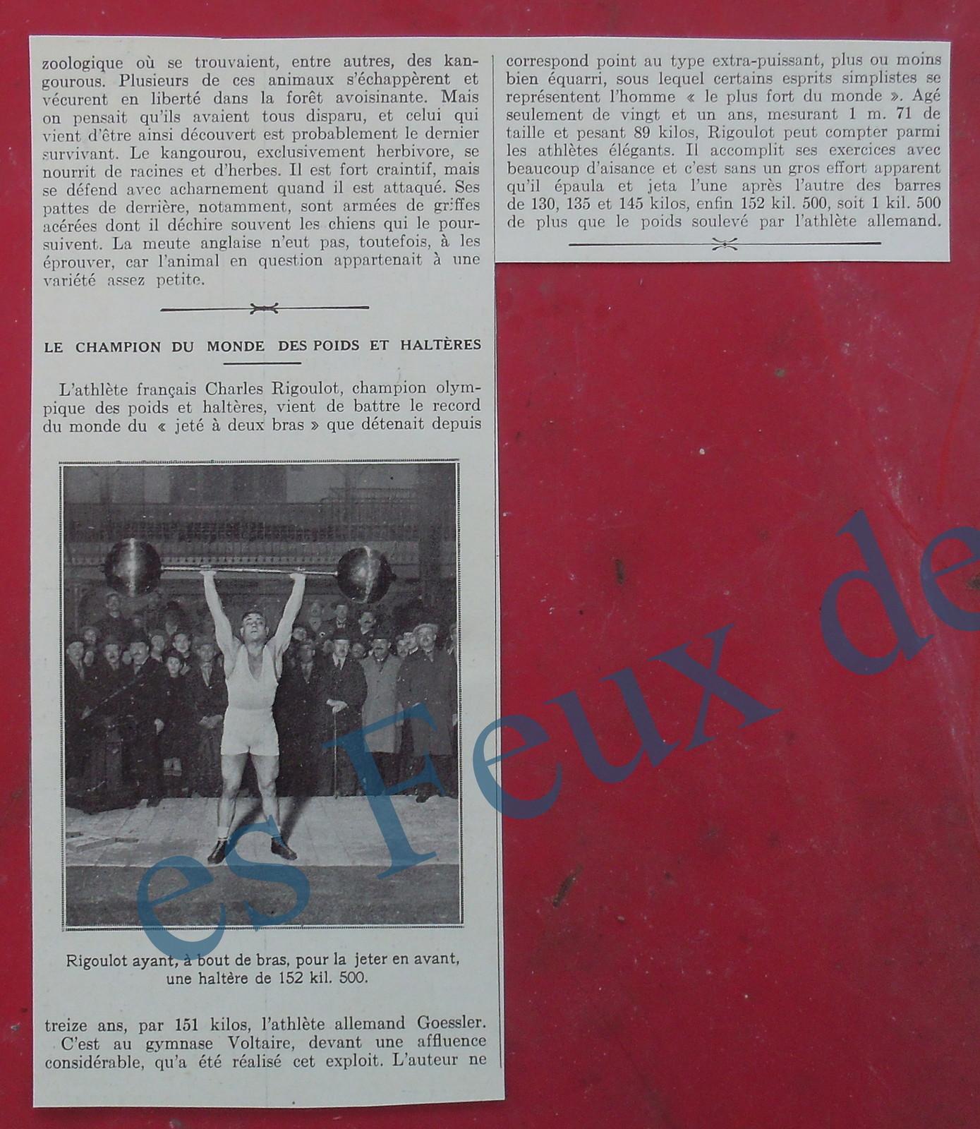 Document photo Charles Rigoulot halterophilie 1924, antique print | eBay