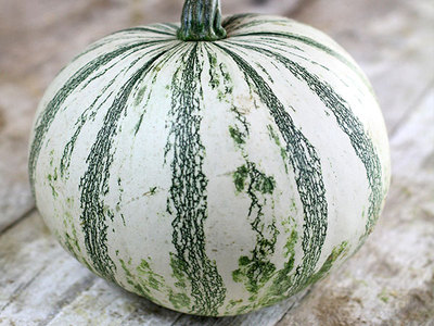 Pumpkin SILVER EDGE-Pumpkin Seeds-GROW FOR HEALTHY, EDIBLE SEEDS-15 ...