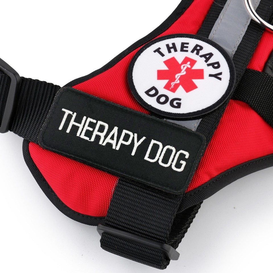 Medical Alert Service Dog Harness Vest PTSD Handle ID Pocket Mesh + 10 ...