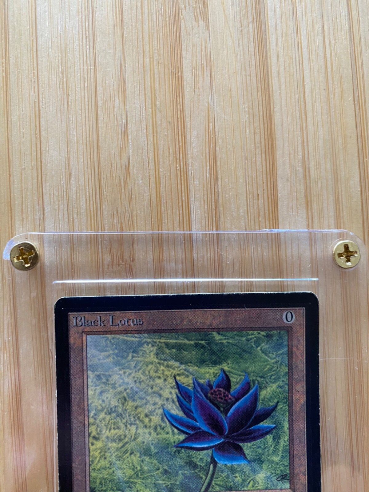 Black Lotus Beta MTG Guaranteed Authentic - "See scans" - Beauty R0 ...