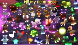 VARIETY OF PETS MEGA NEON FLY RIDE MFR NFR FR (MORE SELECTION) | eBay