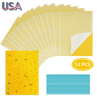 12Pcs Sticky Fly Trap Paper Yellow Traps Fruit Flies Insect Glue ...