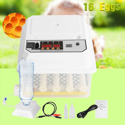 16 Eggs Fully Automatic Hatcher for Hatching Chicken Goose Egg ...