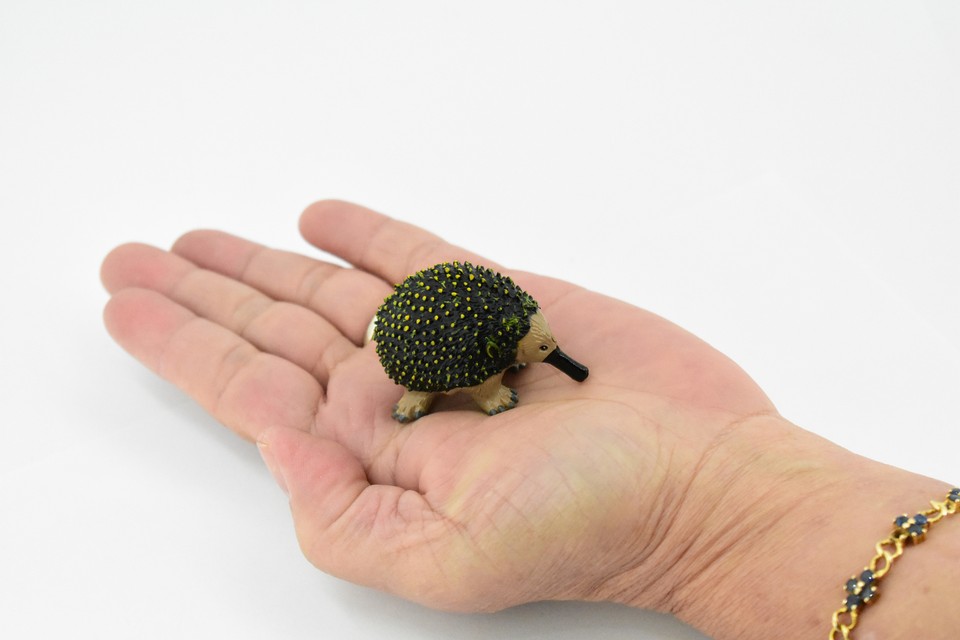 Spiny Anteater, Echidna Realistic Toy Figure, Model, Kids Gift, 2 ...