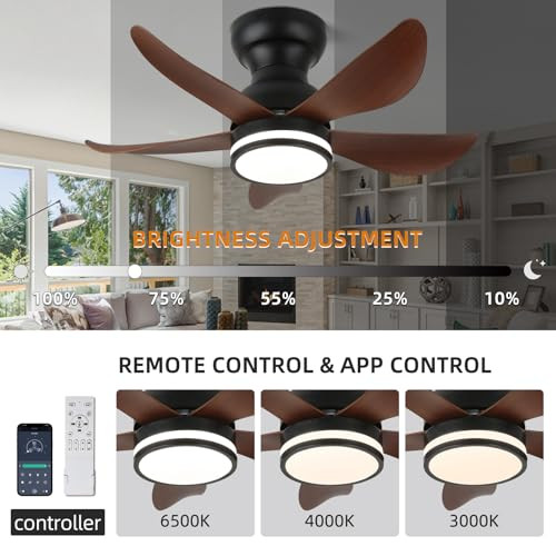 Ceiling Fans with Lights and Remote Control, 30 inch Low Profile Flush ...