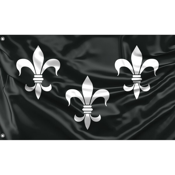 Flag of Kingdom of Temeria | Unique Design, 3x5 Ft / 90x150 cm, Made in ...