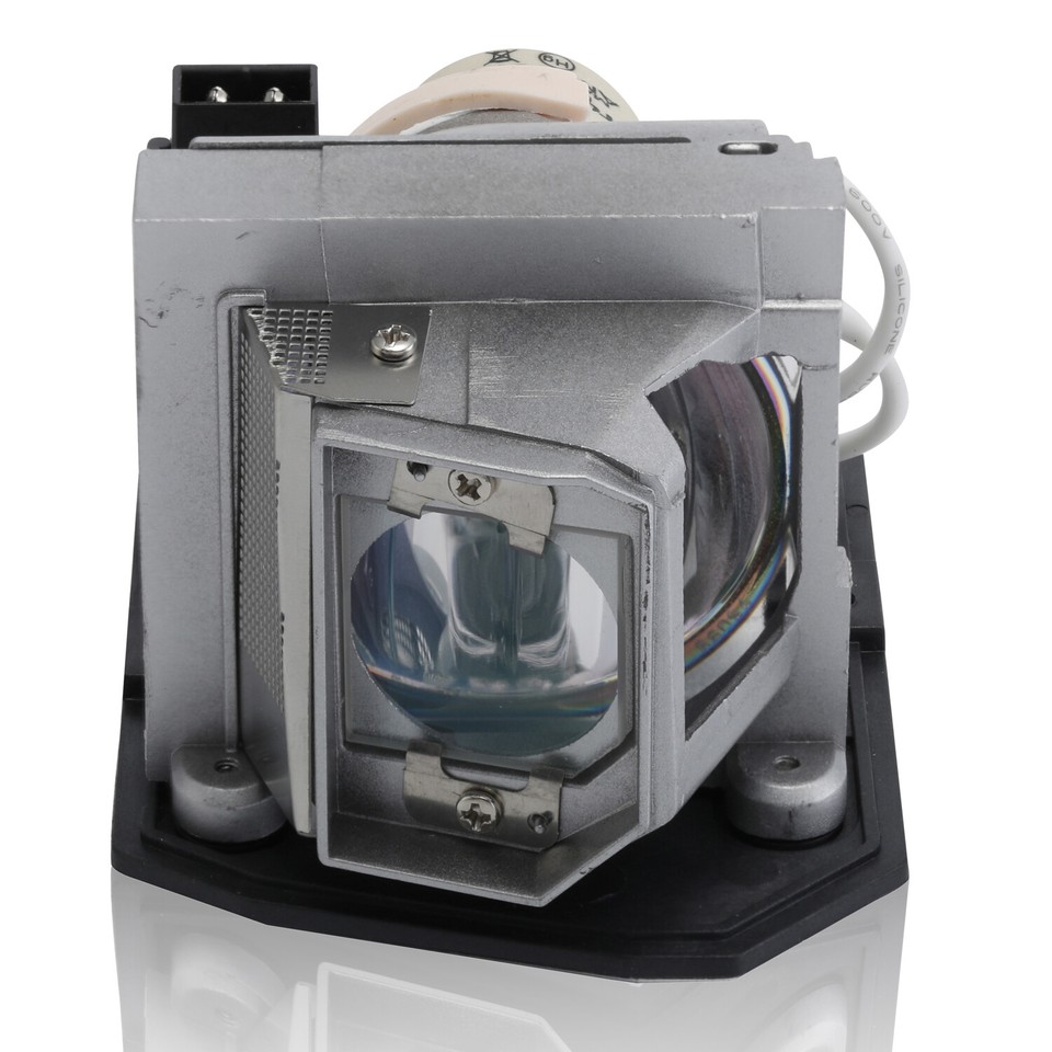 Replacement Projector Lamp BL-FU240A with Housing for Optoma HD25-LV ...